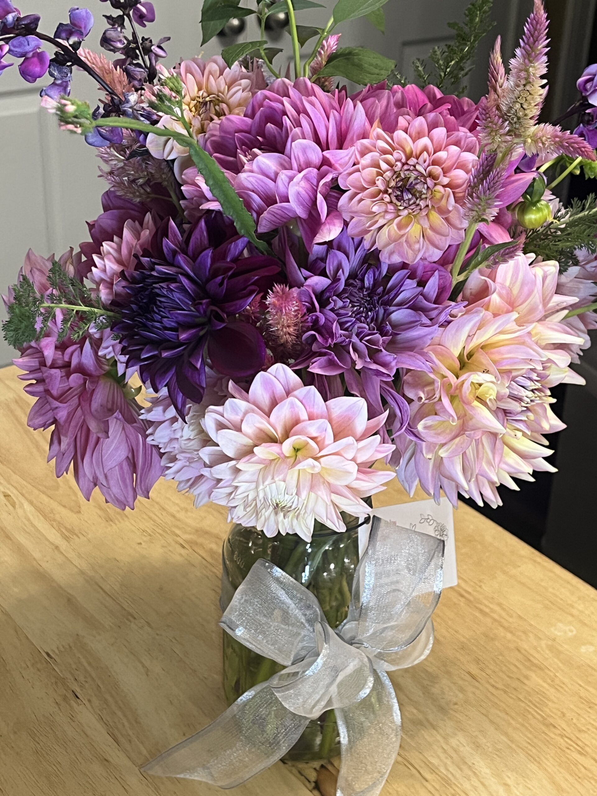 How To Plant and Grow Dahlia Tubers – Hurst Hollow Grows